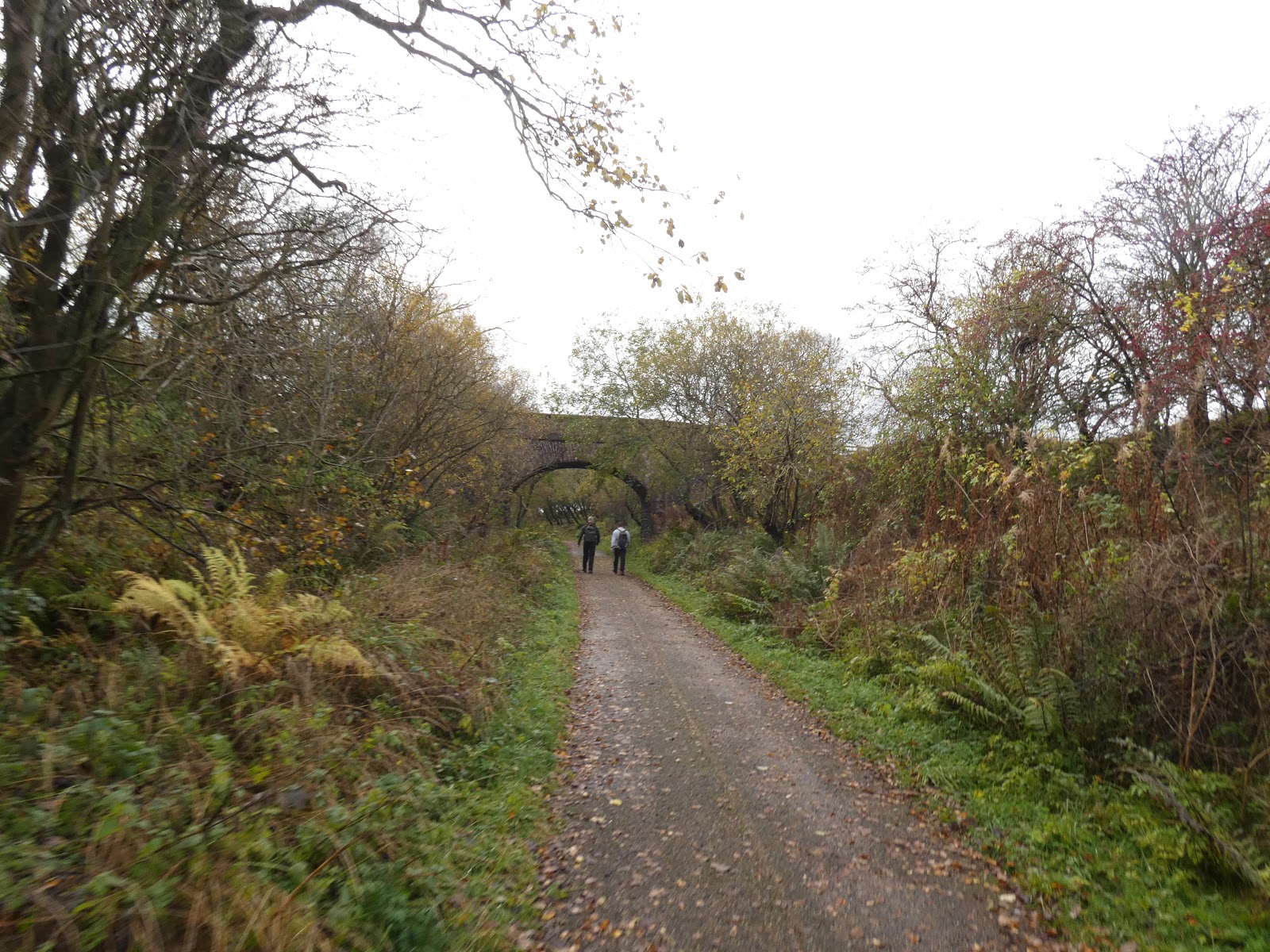 Boz North's Trail - Walking Blog: Waskerley Way - Hownsgill Farm to ...