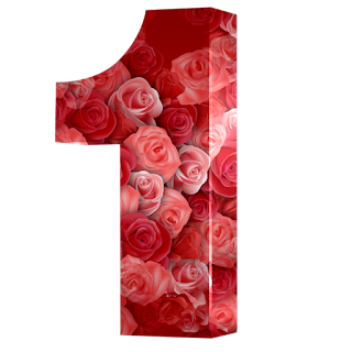 M. Michielin Alphabets: RED ROSES SEAMLESS ALPHABET, NUMBERS AND ICONS PNG