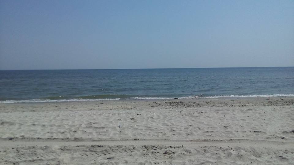 Grindul Chituc - wild wetland