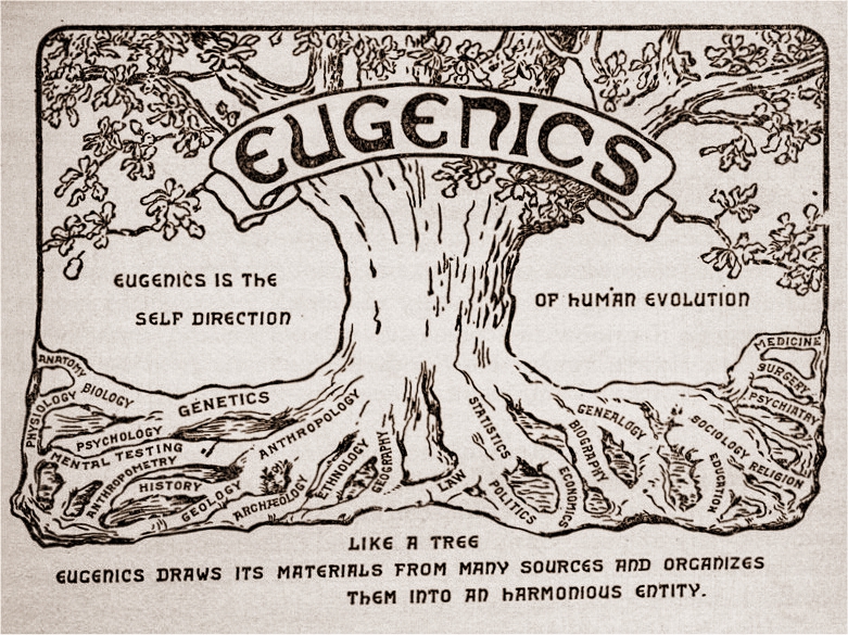 Atividade para o 8º ano: Darwinismo Social