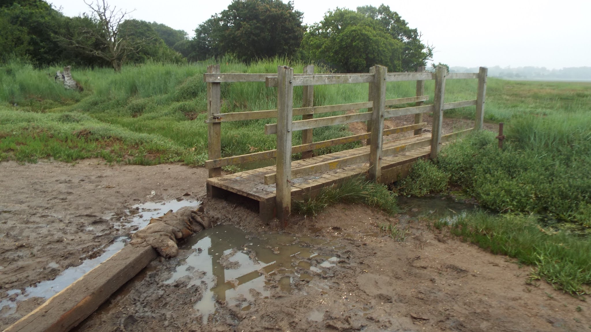 Reinterred: Orwell Challenge Walk 2021