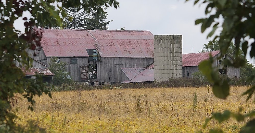 Eye Candy: Barn Charm