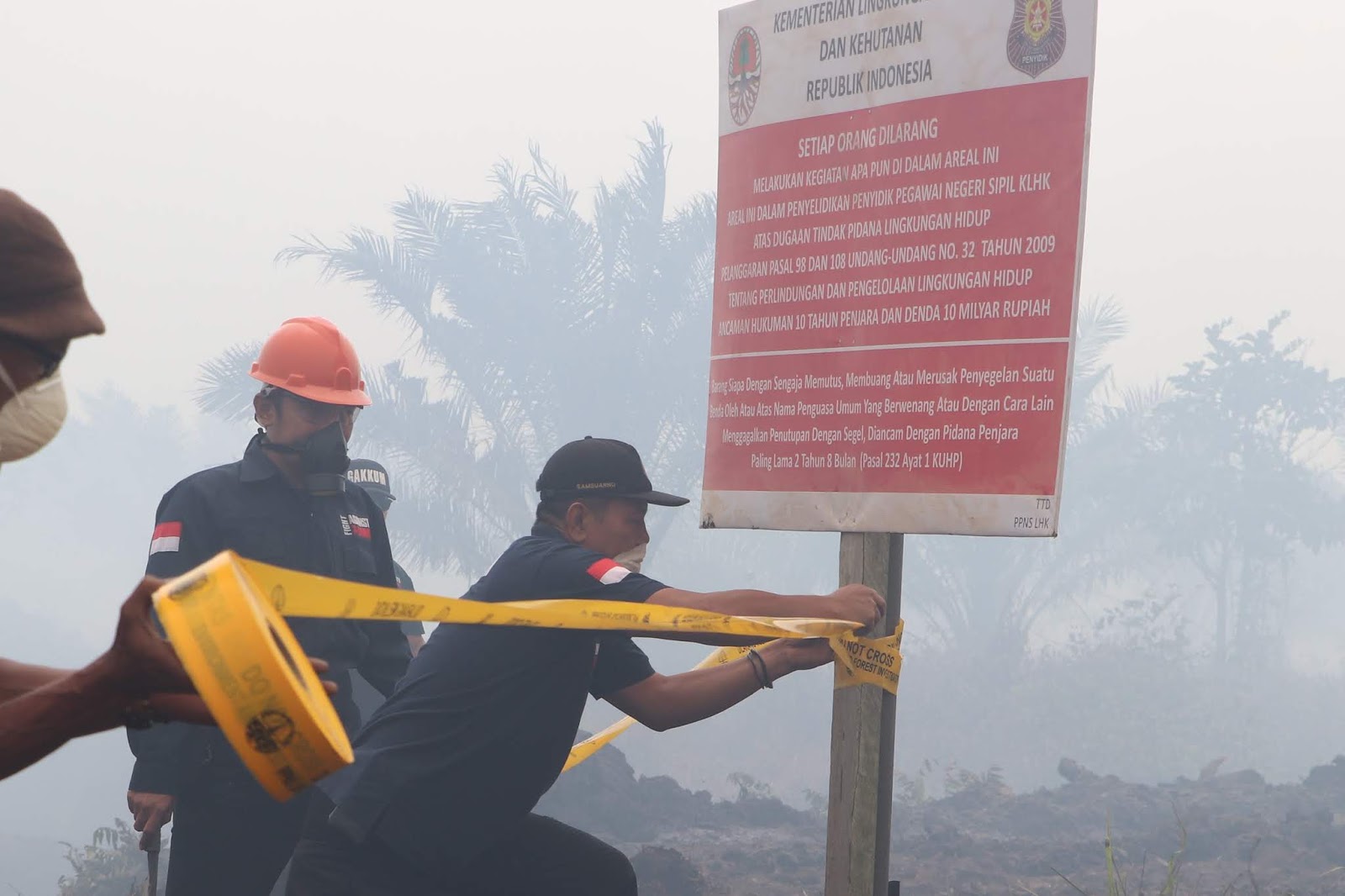 PASAL SANKSI PIDANA PELAKU PEMBAKARAN HUTAN ATAU LAHAN - ARTIKEL LHK
