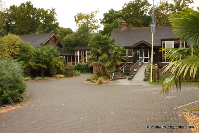 Mellow Mummy: The Marwell Hotel - A Family-Friendly Review : Taking ...