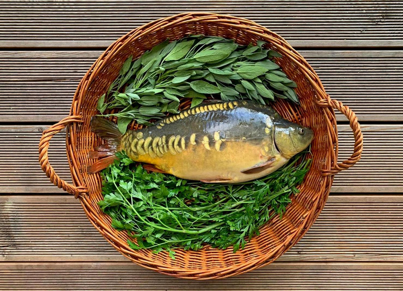 RYBY Z SERCA NATURY - GOSPODARSTWO RYBACKIE ZAWÓLCZE