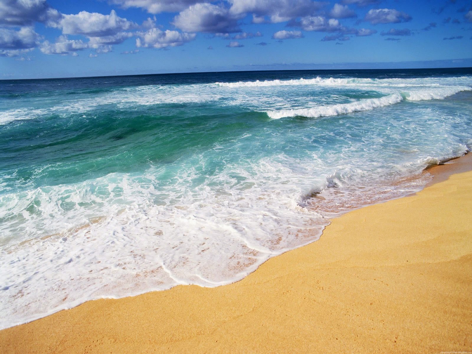 Wallpapers: Wallpapers Com Imagens de Oceano