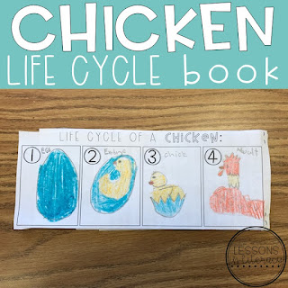 CHICKEN LIFE CYCLE - Lessons in Literacy