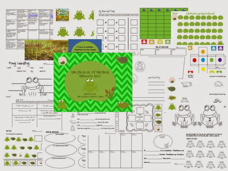 The Science School Yard: frogs