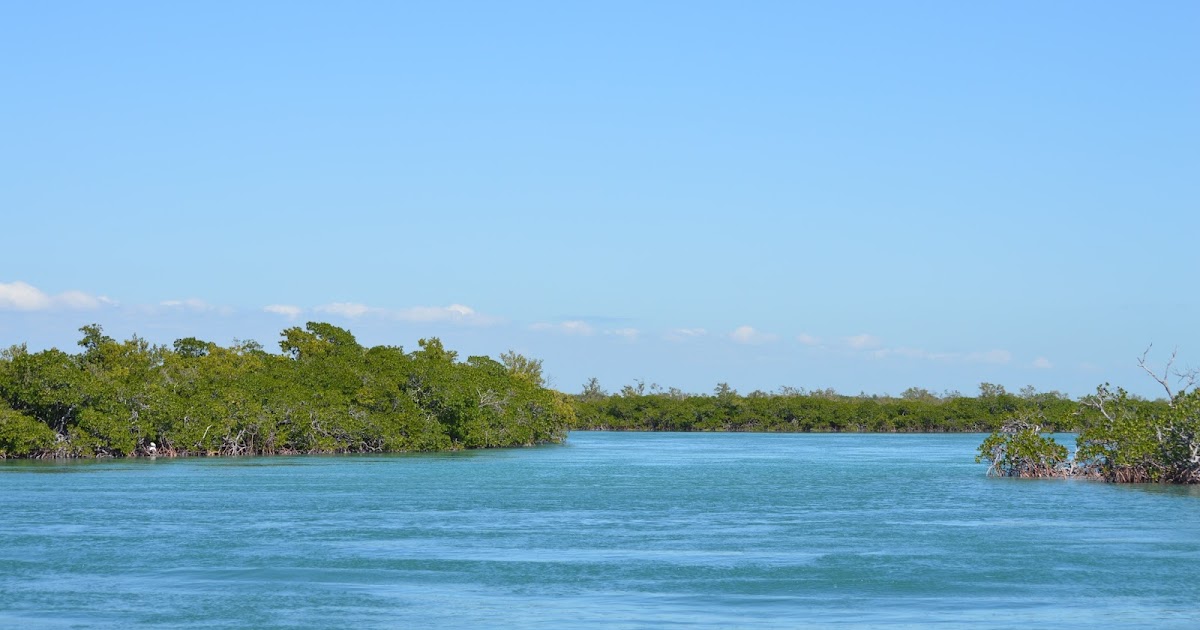 Dream Catcher: Hawk Channel and arriving in Marathon