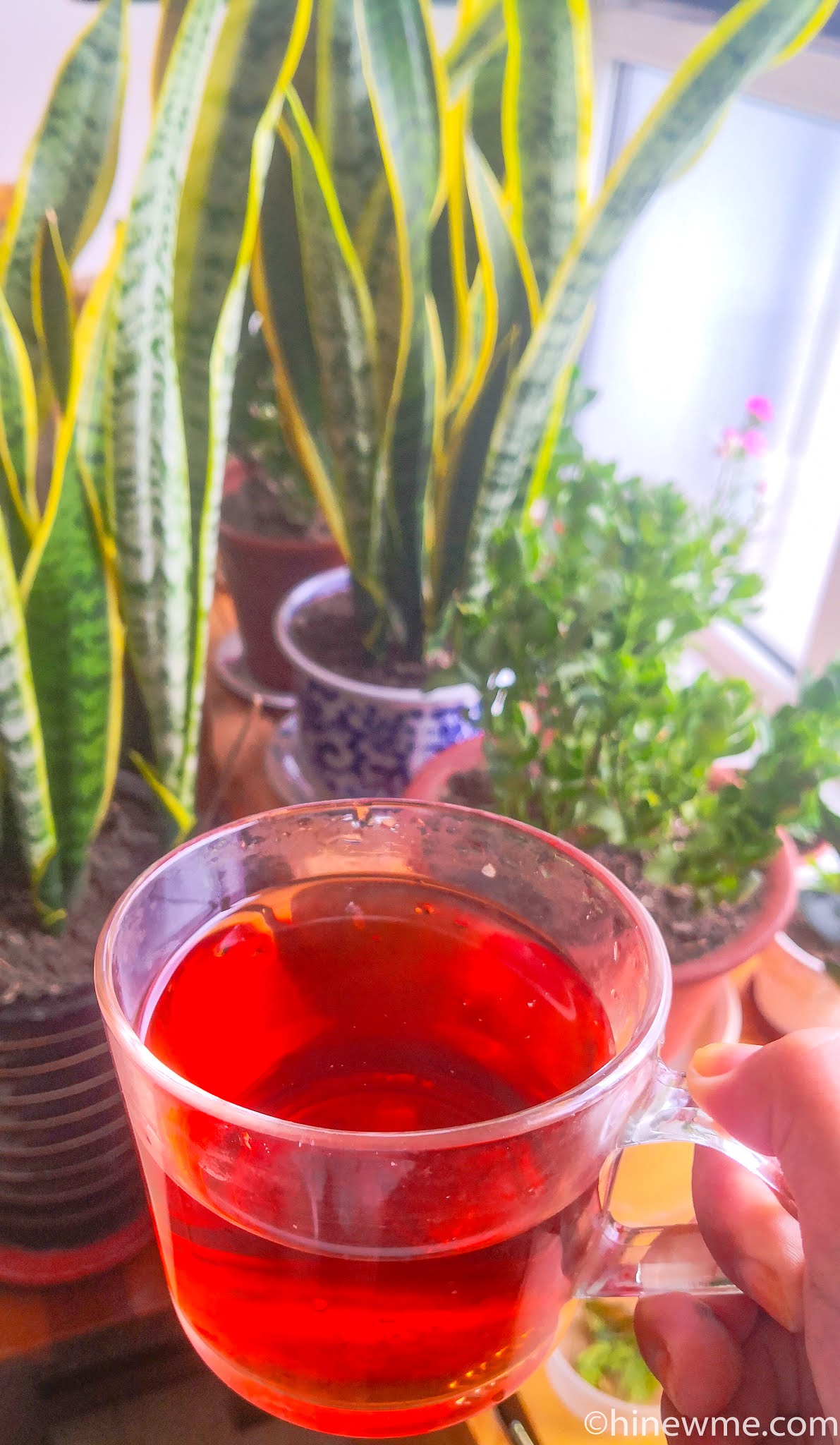 12 rain day and tea photography , come to see my photography