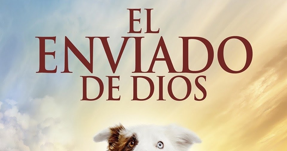 El enviado de Dios -The stray - PELÍCULAS CRISTIANAS