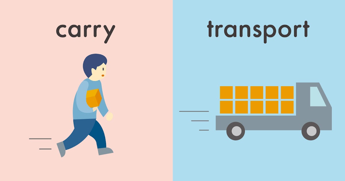 carry と transport の違いとは？