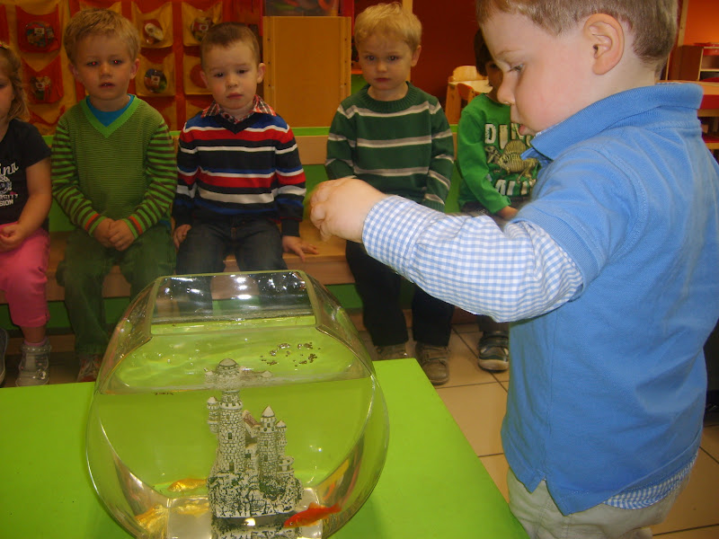 Welkom in de muizenklas!: Thema: "Plons... De vijver in!"