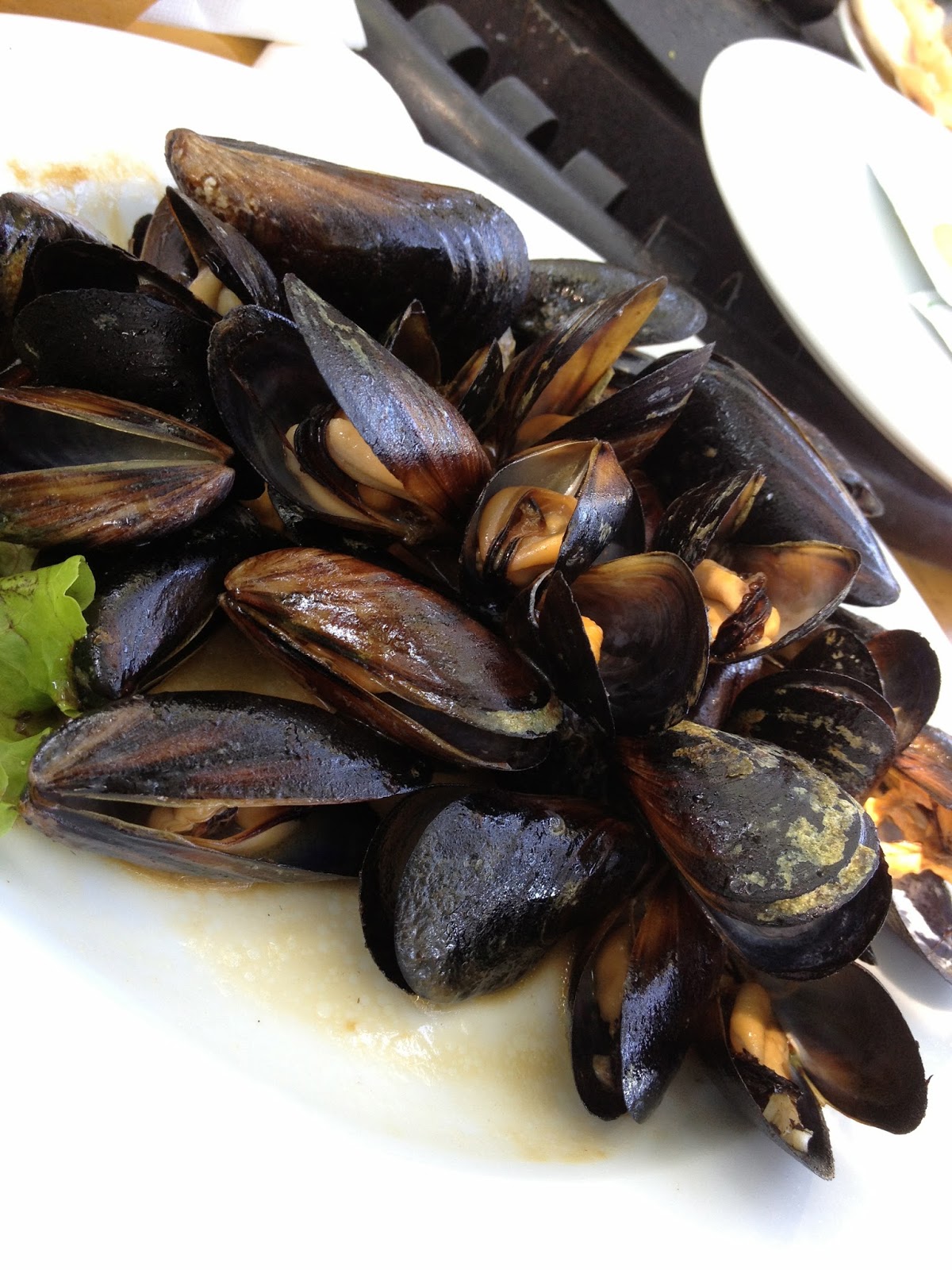 3 day trip to Black Sea coast of Bulgaria