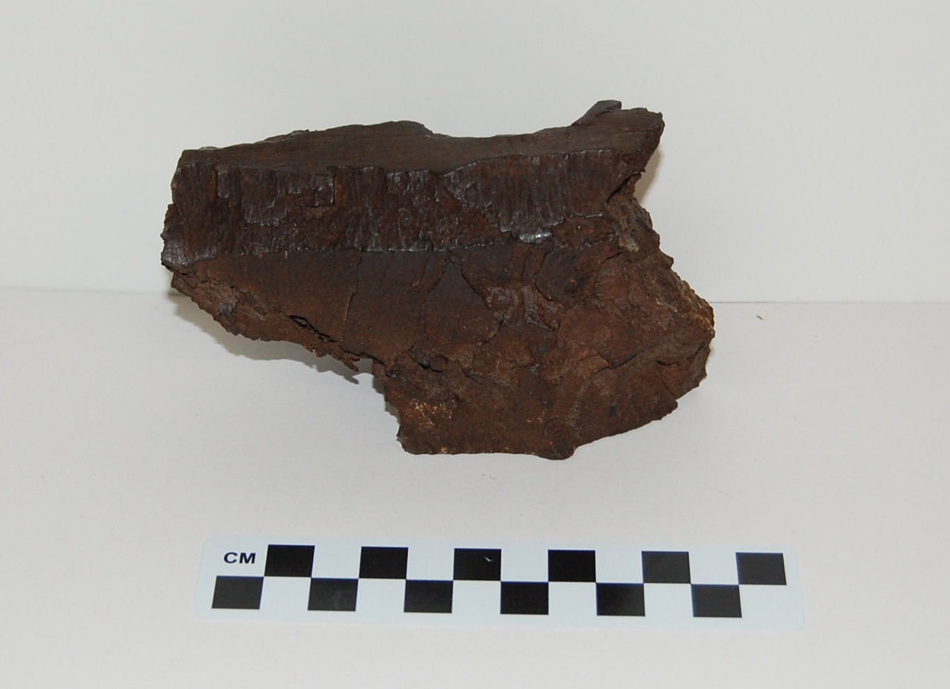Artifact Spotlight: Steel Fragment from USS Arizona, 1941
