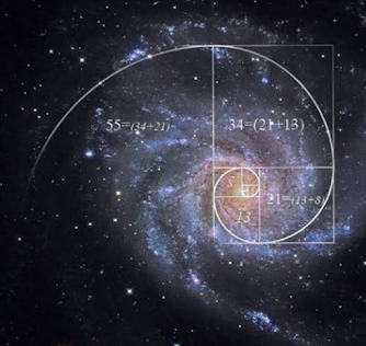 La maravillosa sucesión de Fibonacci