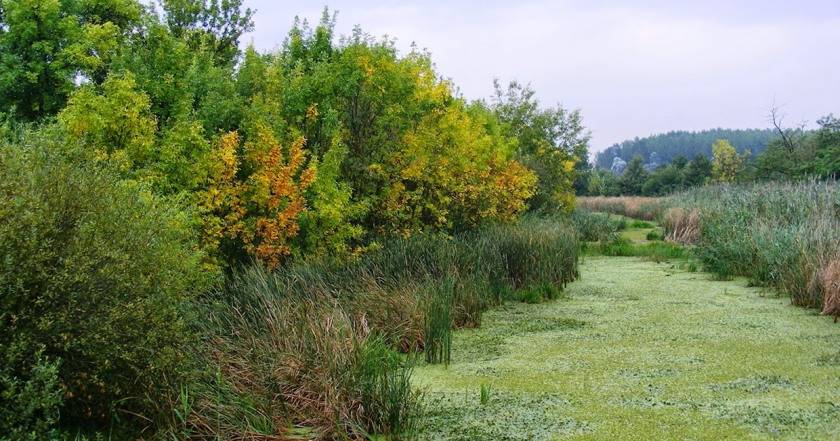 CSODAUTAK: Holt-Sebes-Körös (2014)