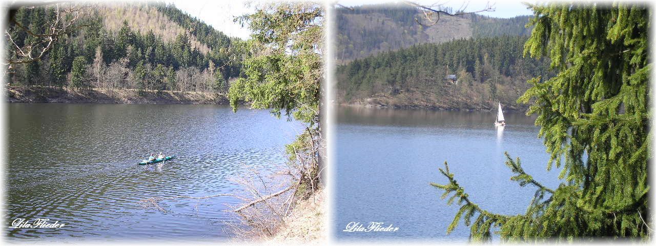 Lila-Flieder-Garten: Hohenwarte-Stausee in Thüringen