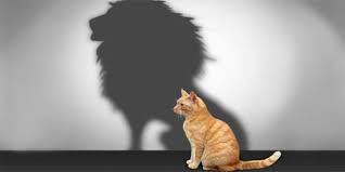 Héctor Acosta Martínez: El Megalómano: un peligroso depredador social!