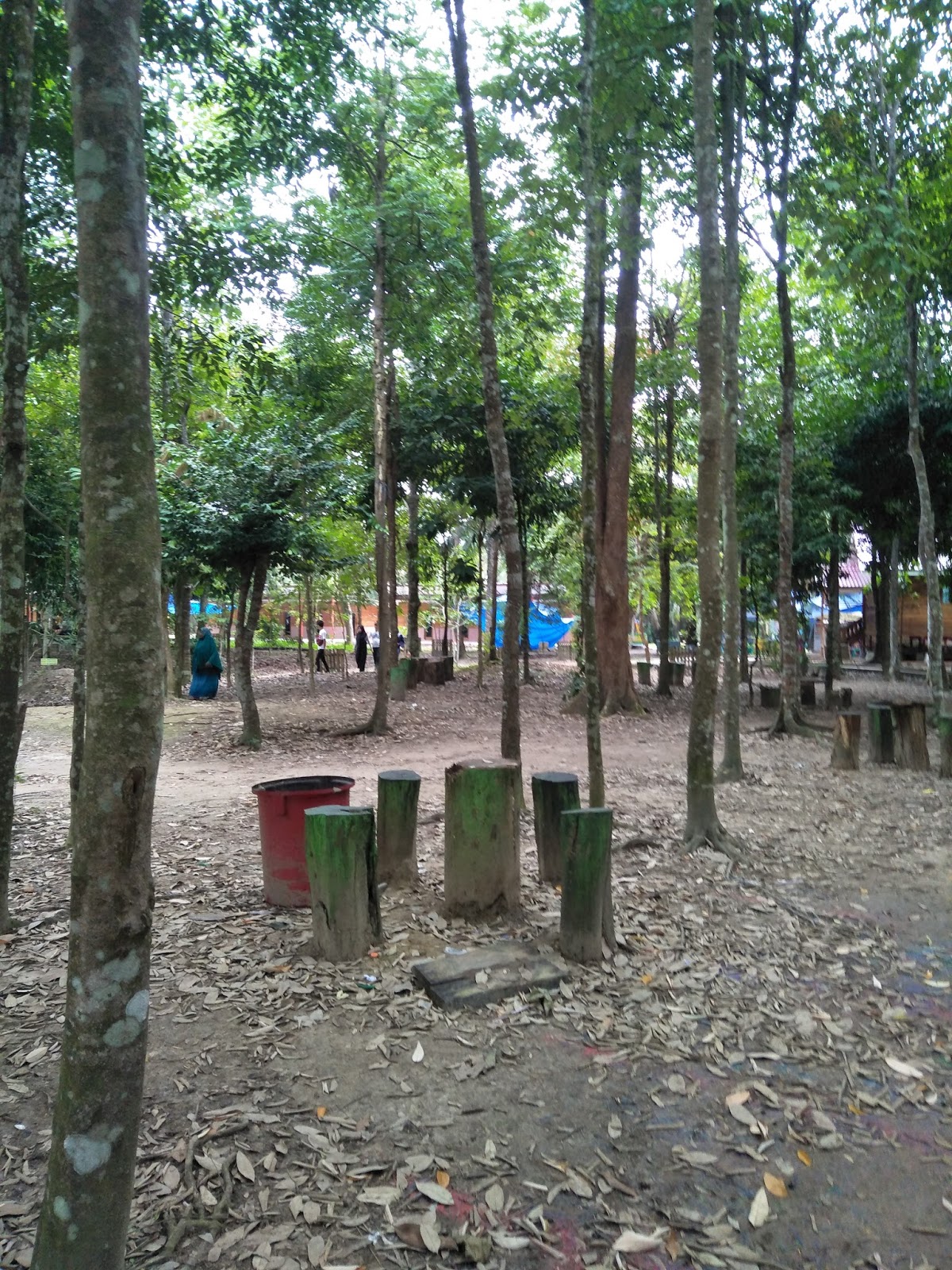 KEHUTANAN: PERANAN HUTAN LINDUNG