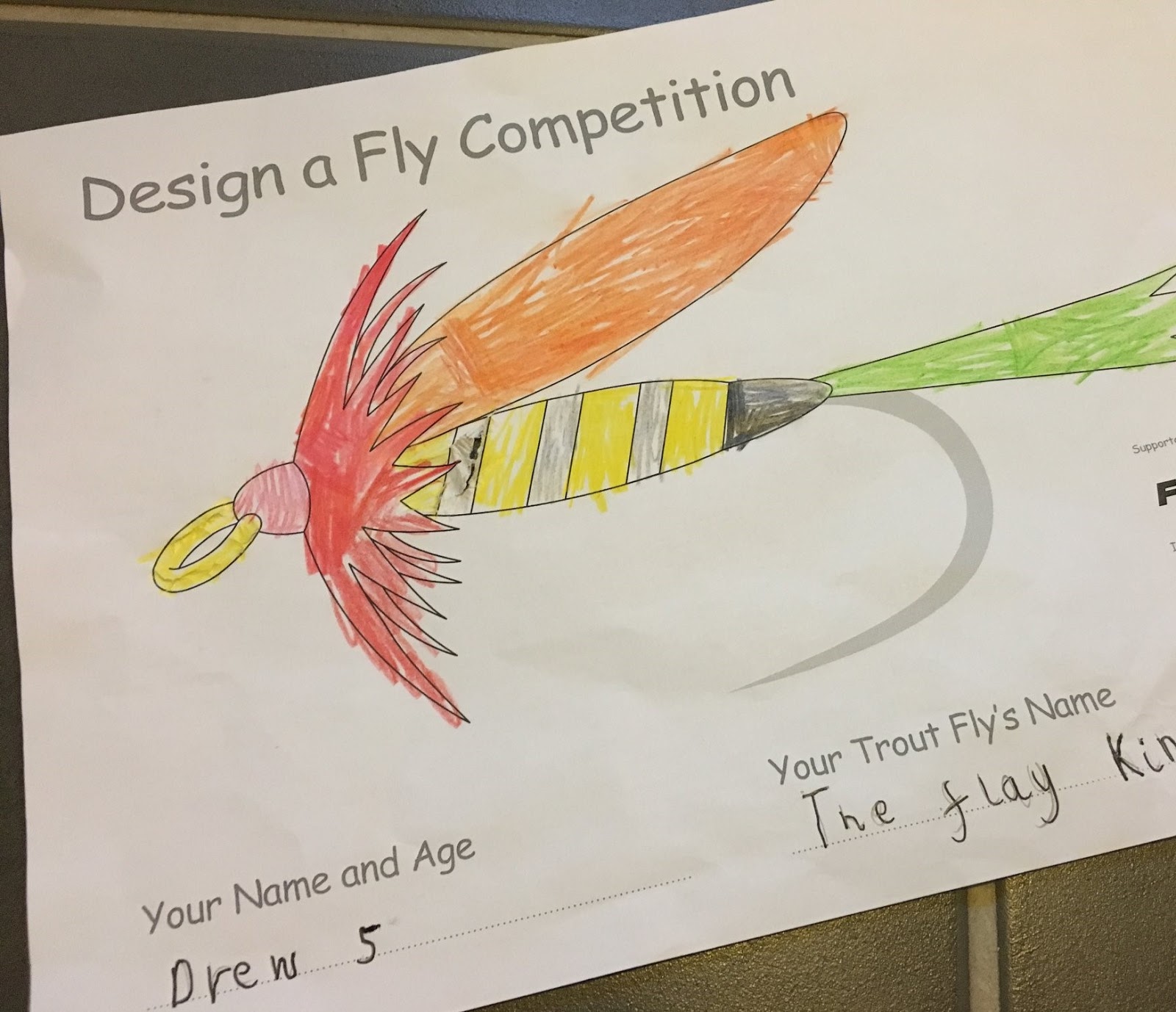 Design a Fly Competition with Fario Fly Co