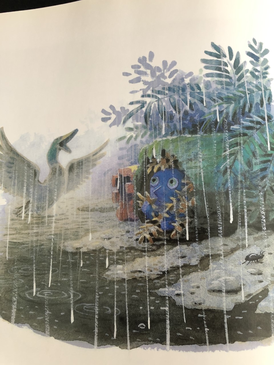 Momo celebrating time to read: Eight by Lyn Lee illustrated by Kim Gamble