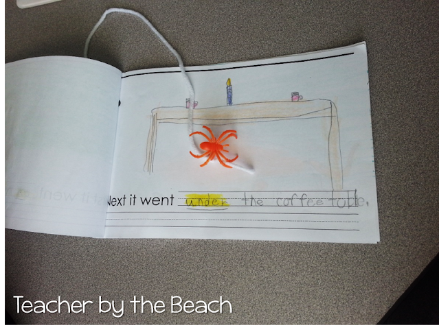 Spider Week - reading, writing, crafting - Teacher by the Beach