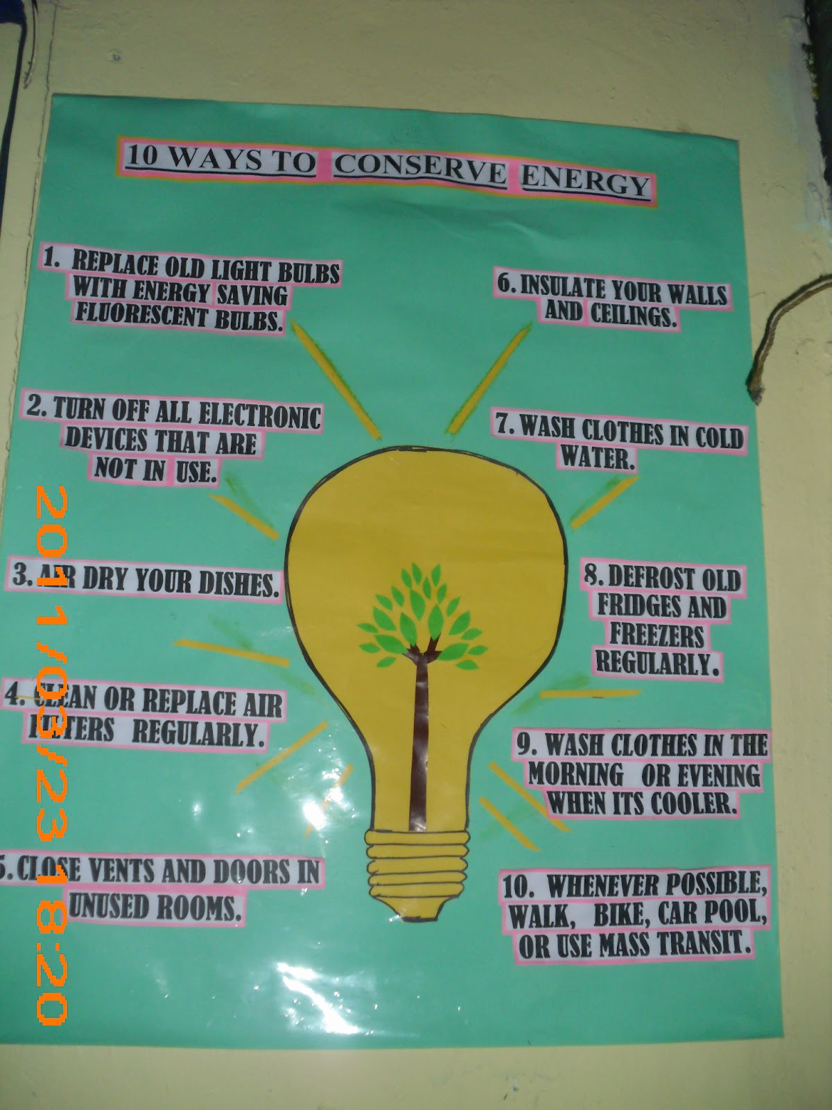 The Earth is in our Hands: Eco-Bulletins and Decorations