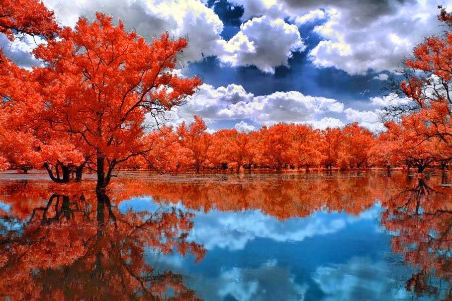 World's Most Beautiful Nature Reflection Photography Wallpapers ...