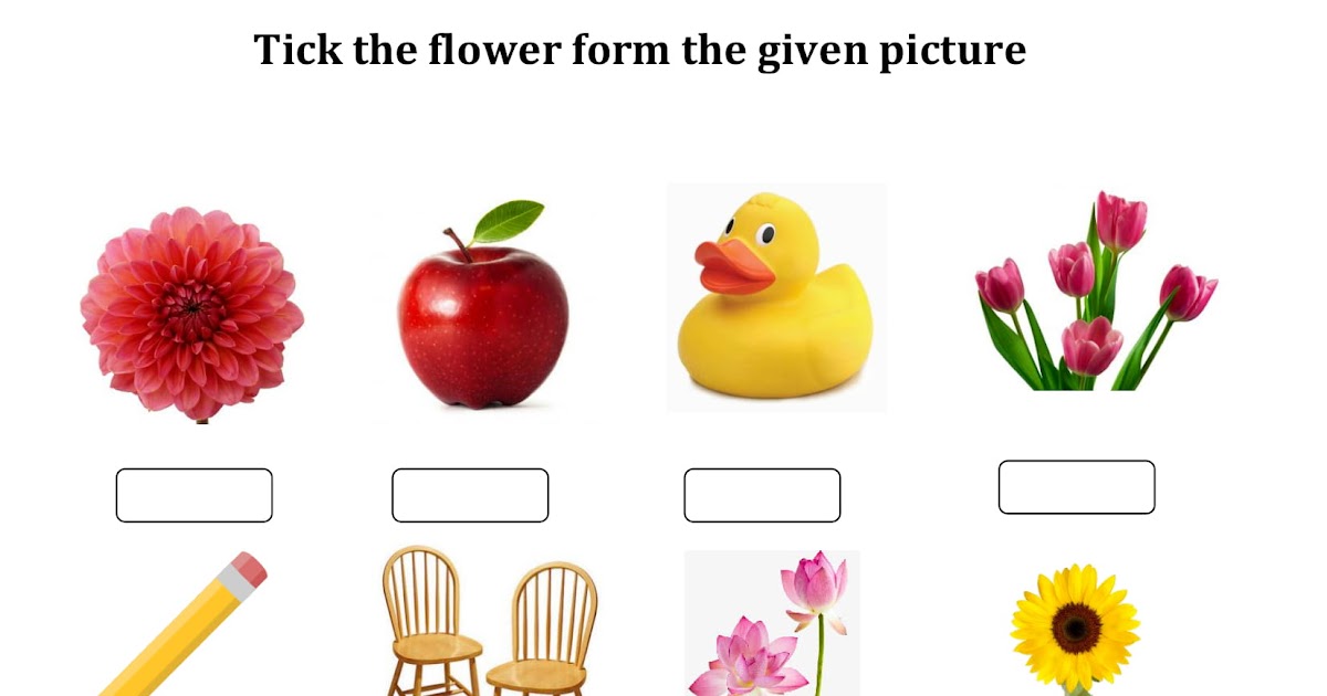 worksheets: Tick The Flower Form The Given Picture