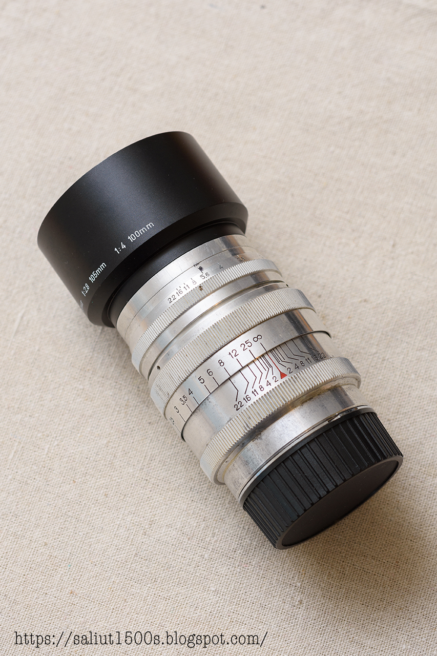 Salut! Saliut! +PLUS: 2020