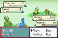 Pokemon Paragon (GBA)