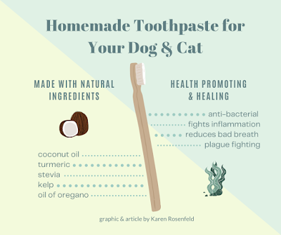 Homemade Coconut Oil Herbal Toothpaste for Dogs and Cats