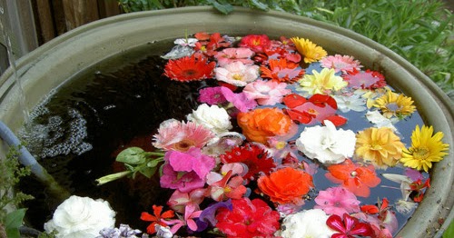 Mandi bunga beri aura positif | Jurnal Shikin Razali