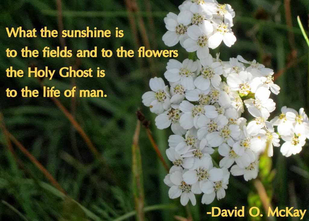 LDS Scripture Literacy: The Holy Ghost in the Home