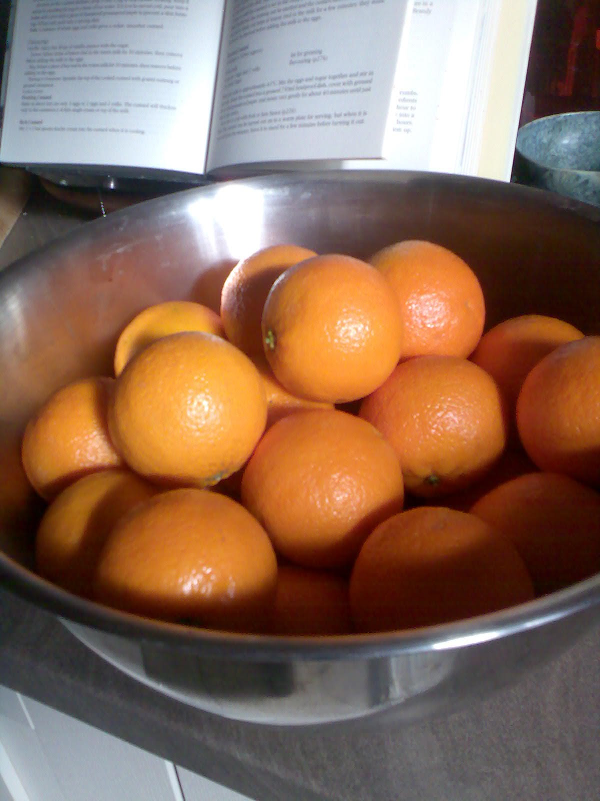 Ben's Adventures in Wine Making: Orange Wine 2017 - The Making Of...