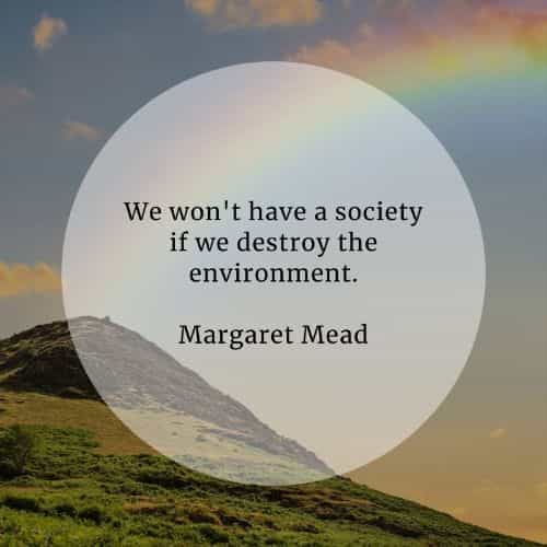 35 Environment quotes that'll influence protecting the earth