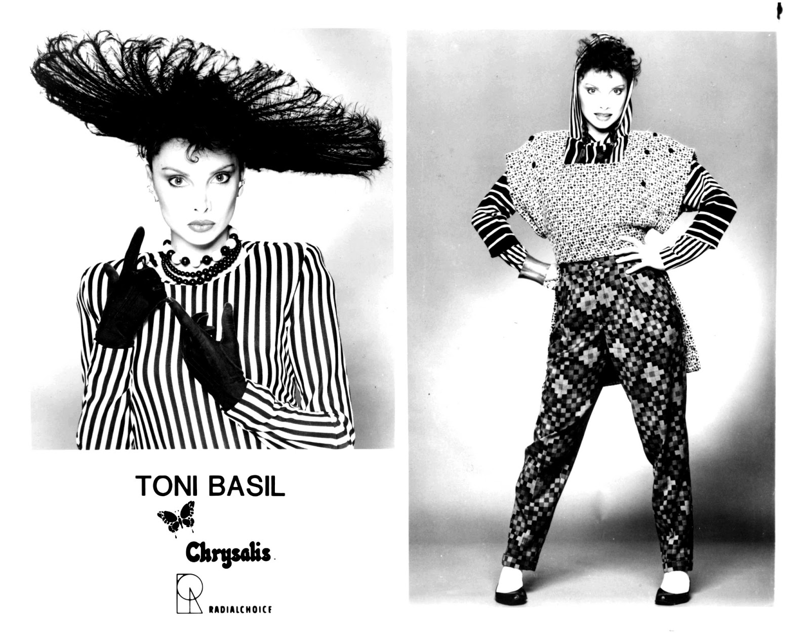 Lansure's Music Paraphernalia: TONI BASIL