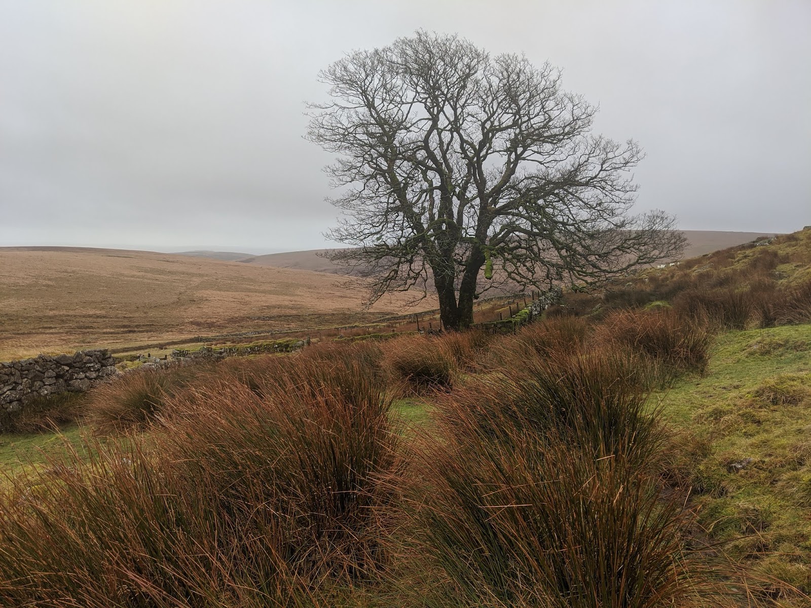 Max Piper - Tor Bagger: Dartmoor: Erme Pits from Lud Gate (12.1 miles)