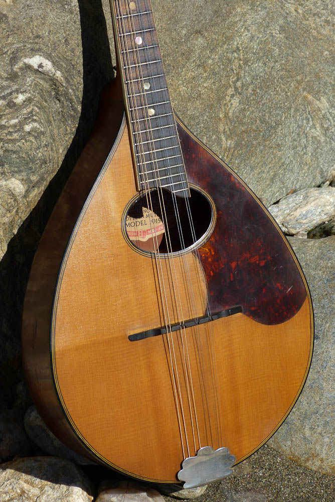 c.1920 Washburn Style 2424 Flatback Mandolin