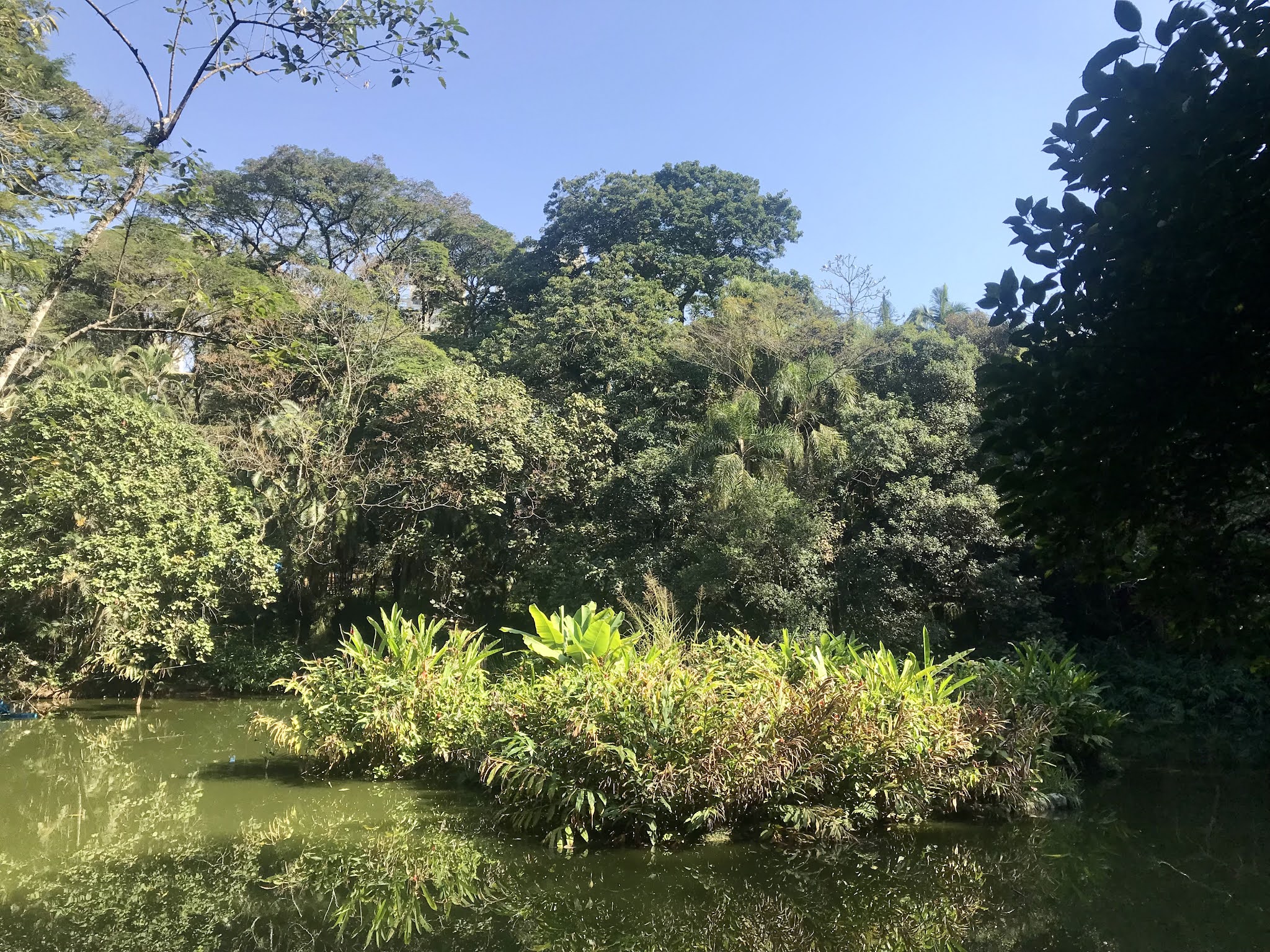 Parque Burle Marx em São Paulo (Revisado e atualizado) ~ Áreas Verdes ...