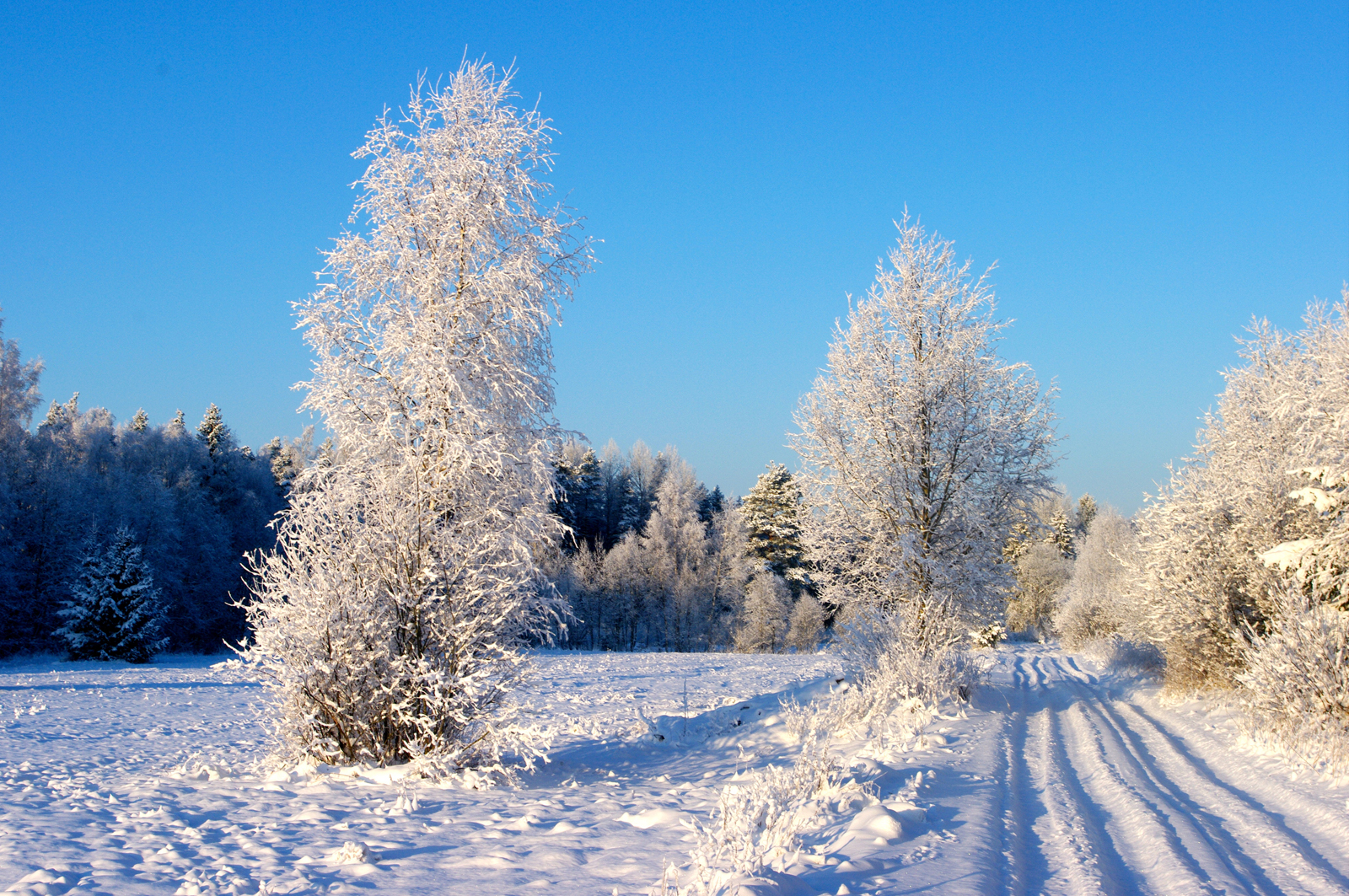 Kalevi pildiblogi: jaanuar 2016