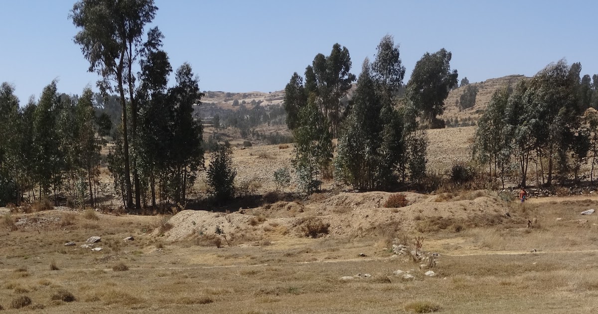 Developments in rural areas across the world: Whose grazing land? the ...