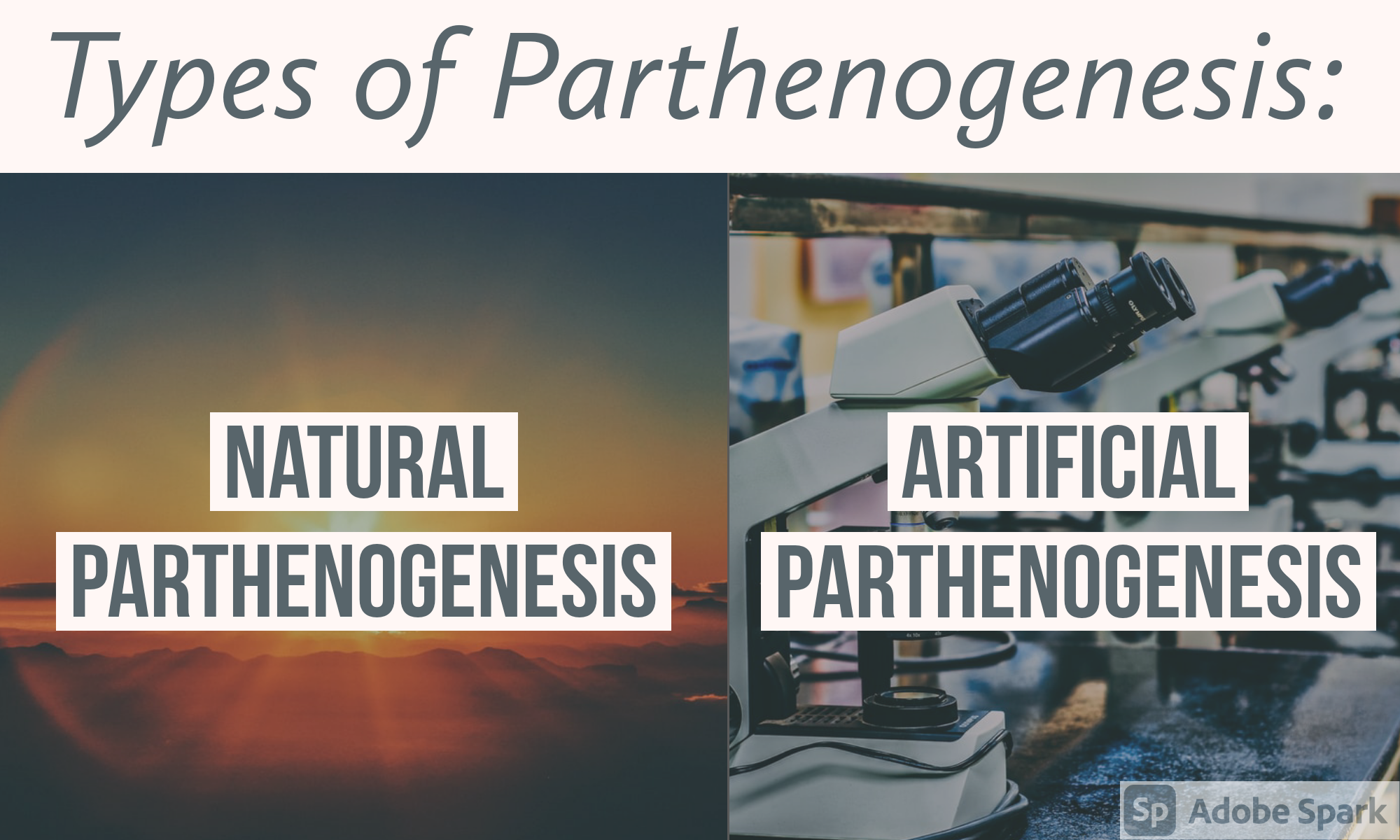 SCIENCE BEHIND BIRTH OF KARNA