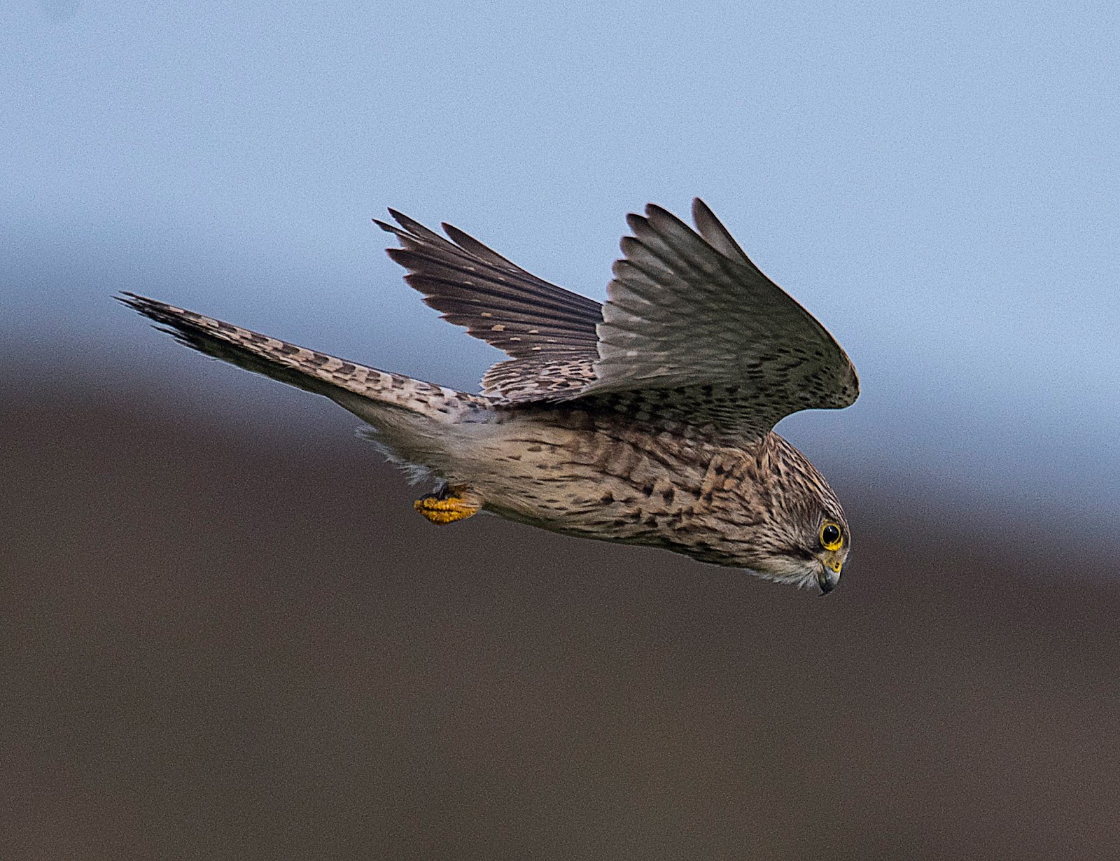 Alan James Photography