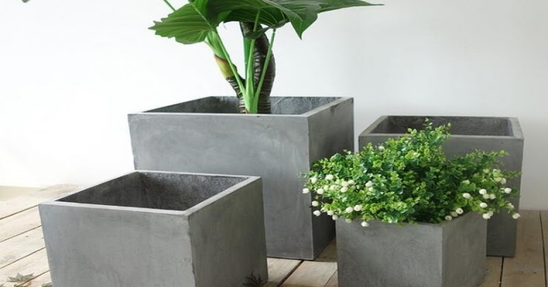 Uniknya Pot Bunga Minimalis dari Beton - Teknoto Terbaru