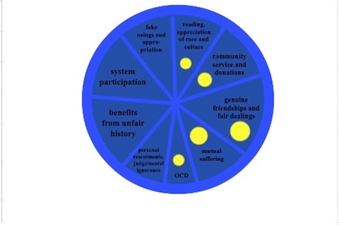 Notions and Emotions: Racism CBT pie chart
