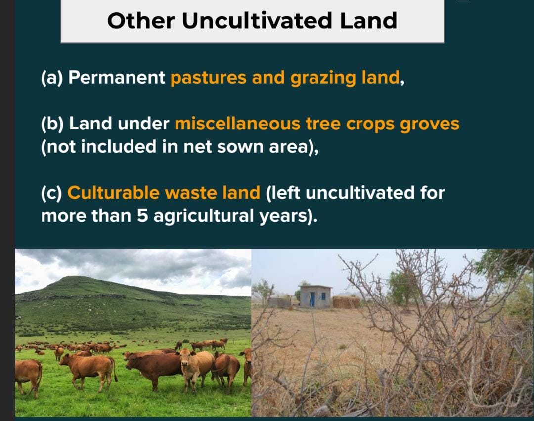 SOIL AND IT'S MAJOR CLASSIFICATION:CLASS 10 SST PART-2(R&D)