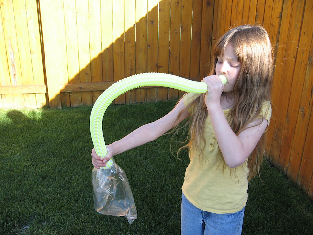 Almost Unschoolers: Singing Tube Science
