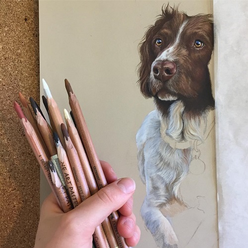 My Owl Barn: Incredibly Detailed Pastel Paintings by Emily Rose